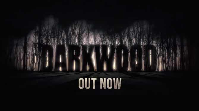 Darkwood: STEAM Erfolge Achievements Liste